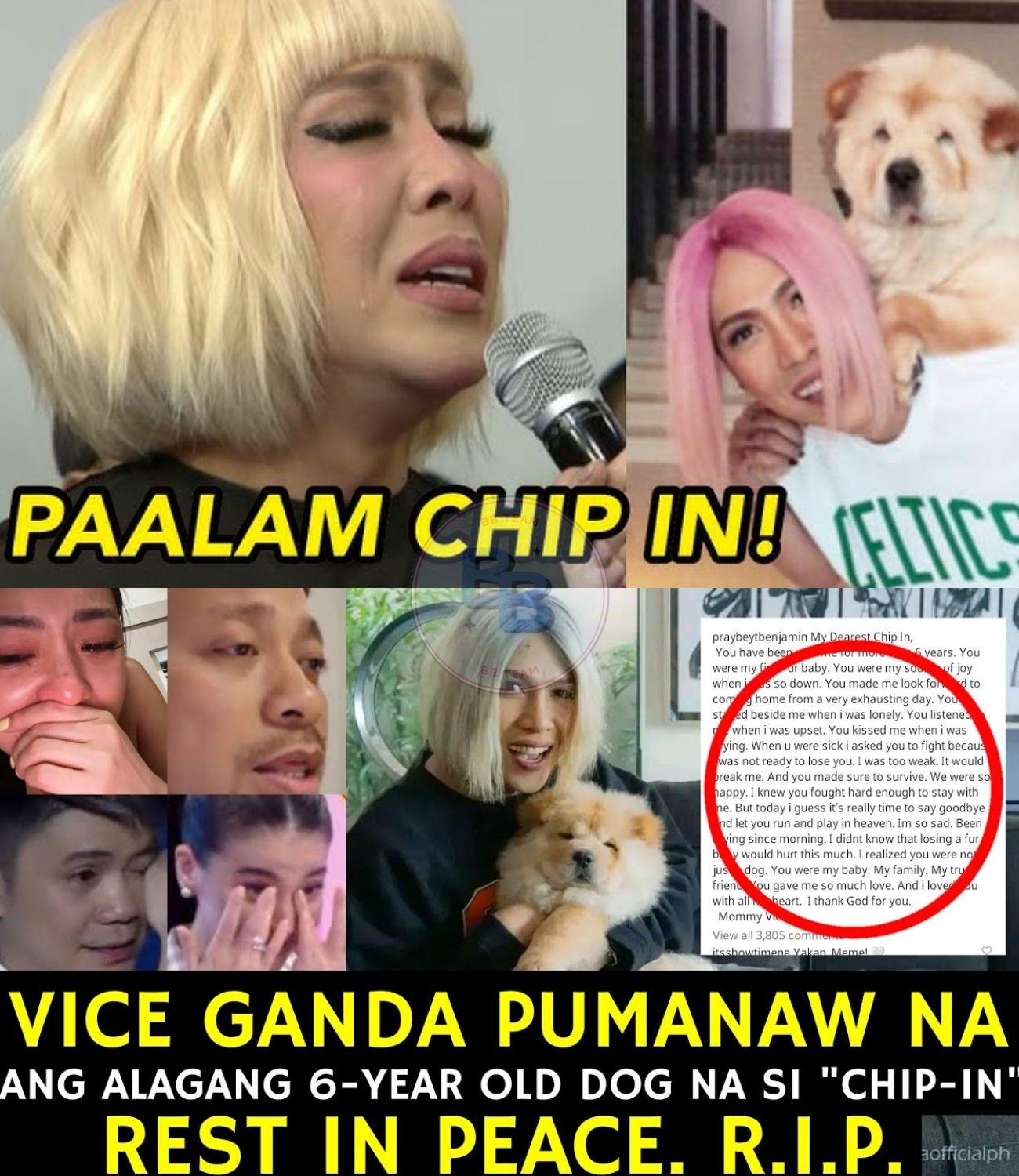 Vice Ganda, Lubos na Lumuha ng Ibinahaging Malungkot na Balita: Alagang ...