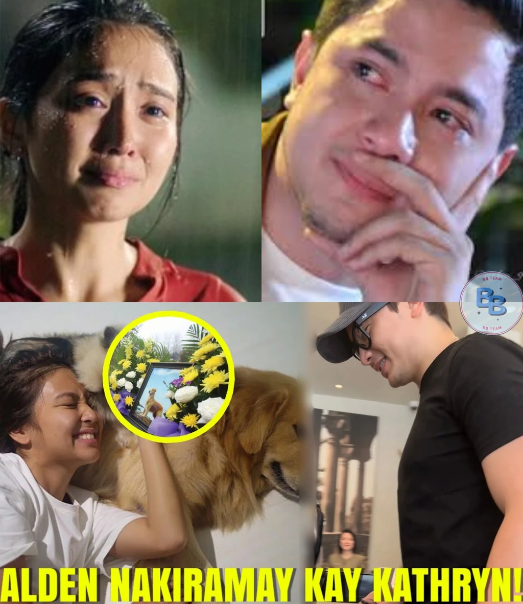 Nakakalungkot! Kathryn Bernardo, Dumadaan sa Matinding Pighati – Alamin ang Dahilan - News