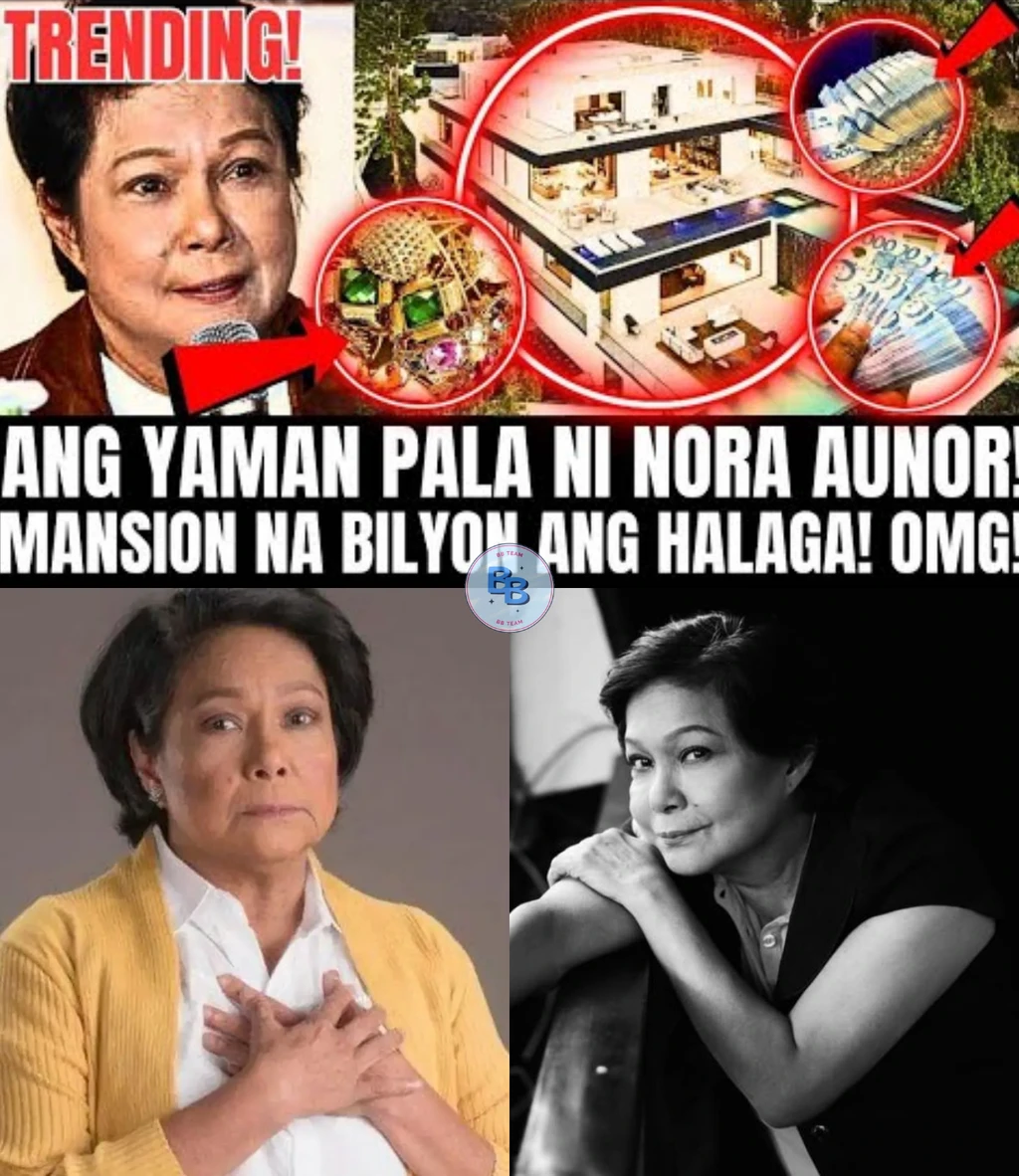 Nora Aunor’s Secret Wealth Finally Comes to Light — Her Son’s Stunning ...