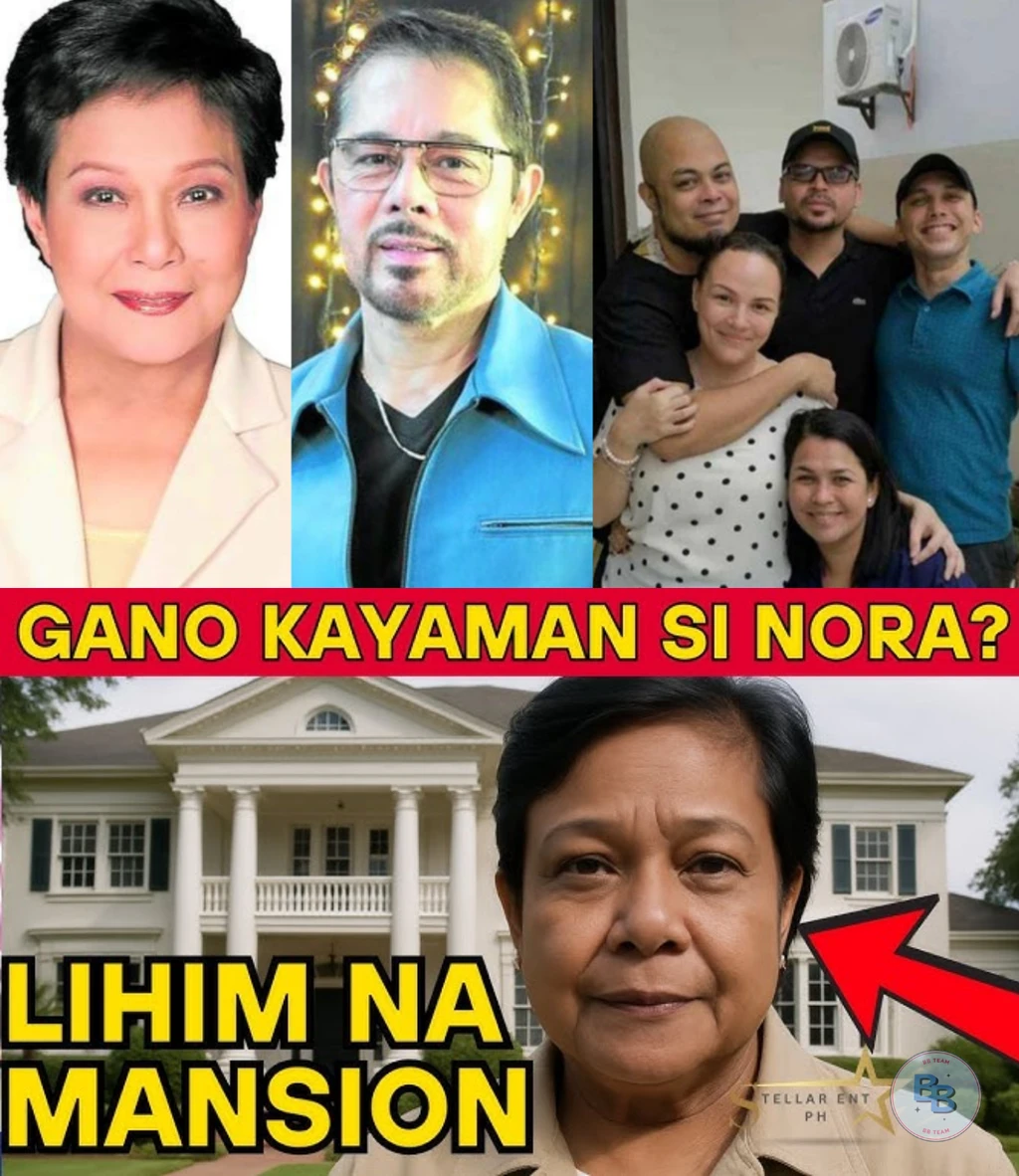 The Unbelievable Truth Behind Nora Aunor's Hidden Wealth: A Mansion in ...