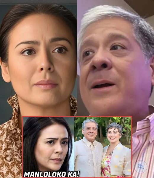 Dawn Zulueta, emosyonal na inamin ang tunay na dahilan ng hiwalayan nila ni Anton Lagdameo—may ...