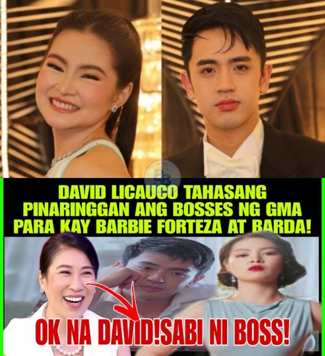 Shocking Industry Scandal Explodes: David Licauco Throws Cryptic Shade ...