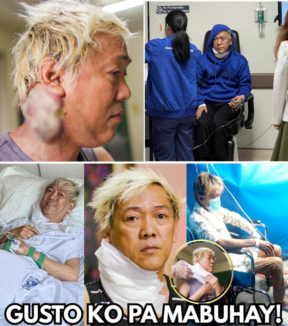 Sylvia Sanchez, Inang Matatag na Nasasaktan Dahil sa Anak na Nasangkot sa Iskandalo ng ...