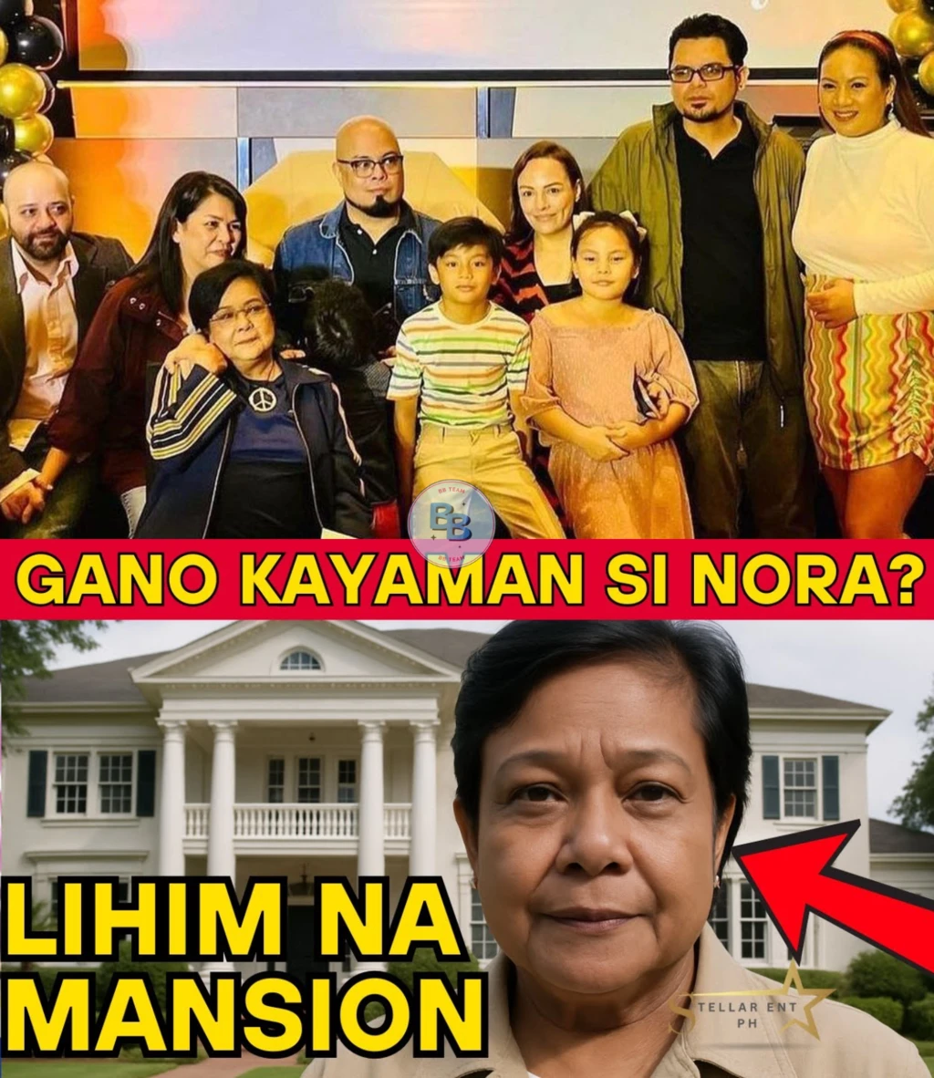 Tagong Yaman ni Nora Aunor: Mansyon sa Bicol, Lupain ng Pagluha, at Vault ng Kayamanang ...