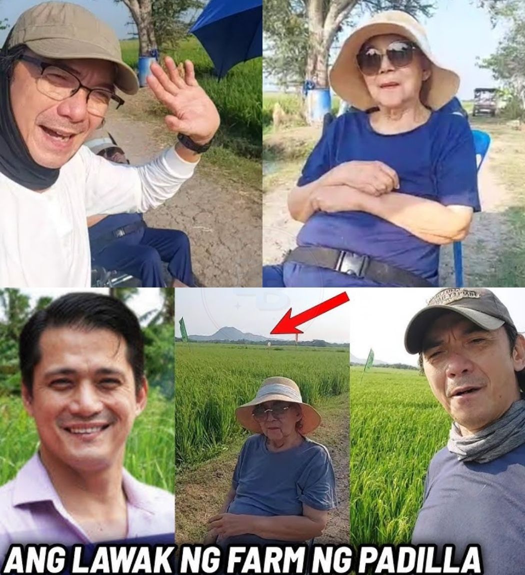 Grabe! Ang Shocking Lawak ng Hacienda at Farm ng Padilla Family: Isang ...
